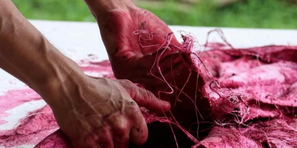 “El arte es la inteligencia que se divierte” Albert Einstein: Grana ...